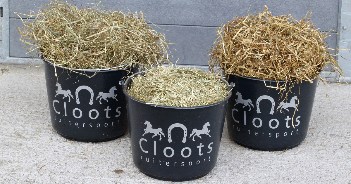De kracht van ruwvoeder | Cloots Ruitersport