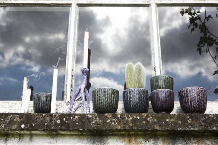 Mysterious - Pomax Home Collection