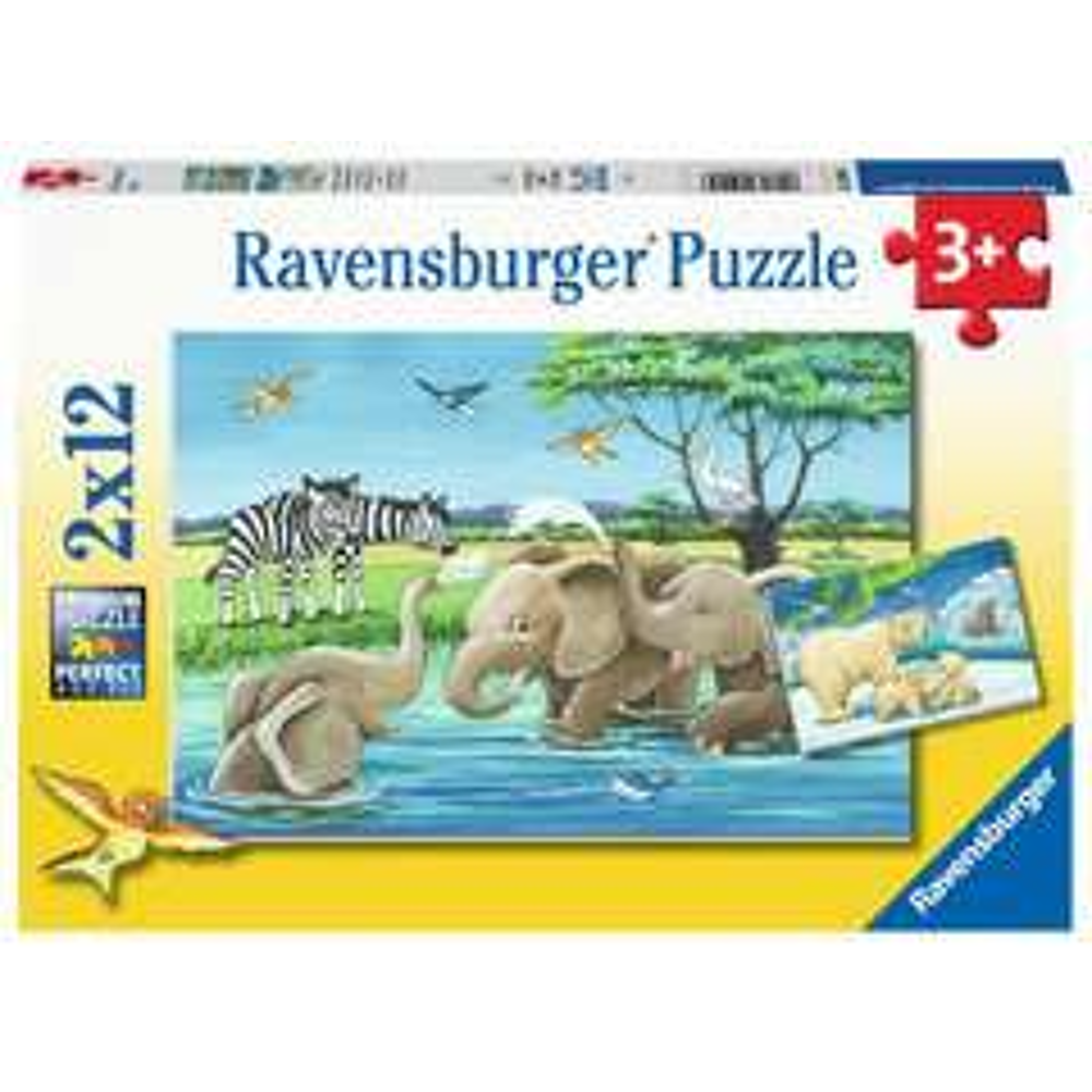 2X12 St - Jonge Dieren Uit De Hele Wereld