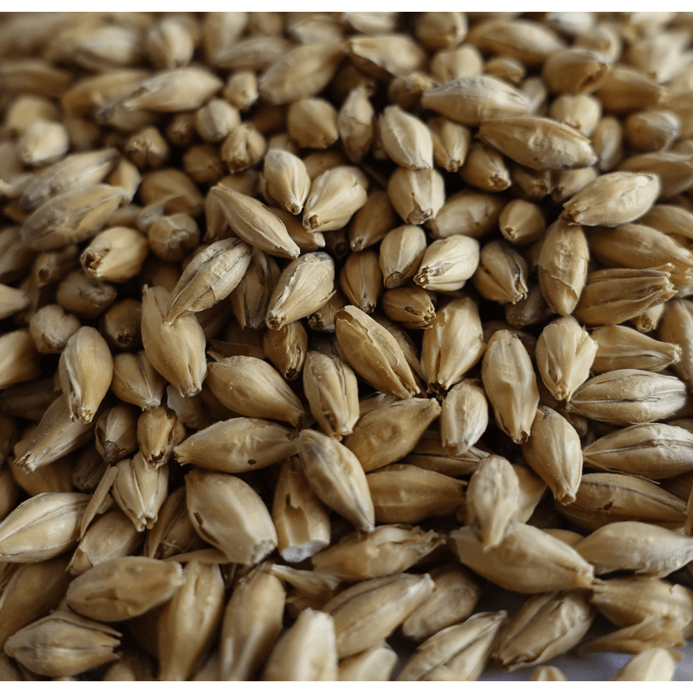 Munich malt 15EBC 1kg - Produits pour brasser de la bière - BMS ...