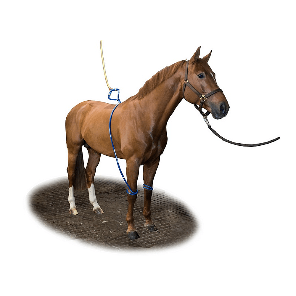 EQUINE LEG COOLER 2 BENEN
