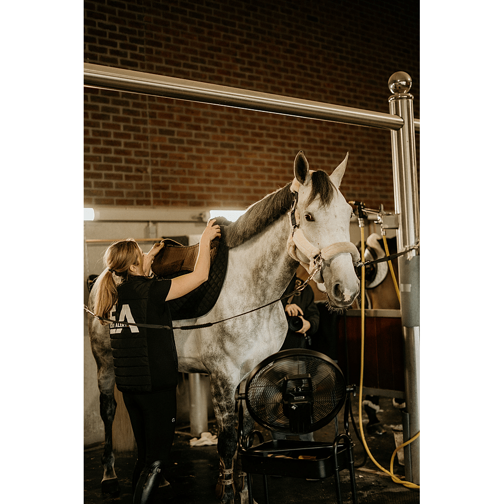 Equi Alert Air Ventilateur Sans Fil - Emmers Equestrian