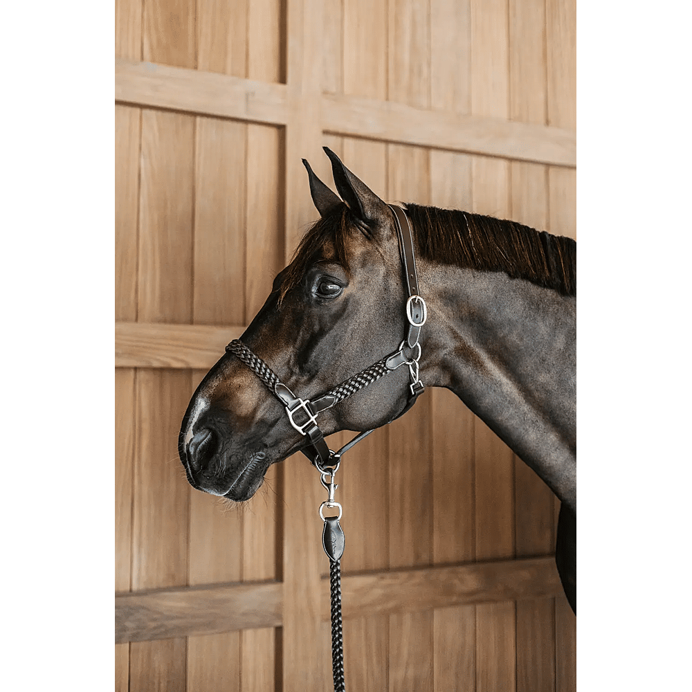 Plaited Halter - HALSTERS & TOUWEN - Cloots