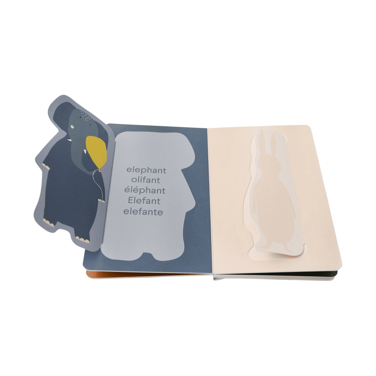 Lift-The-Flap Book