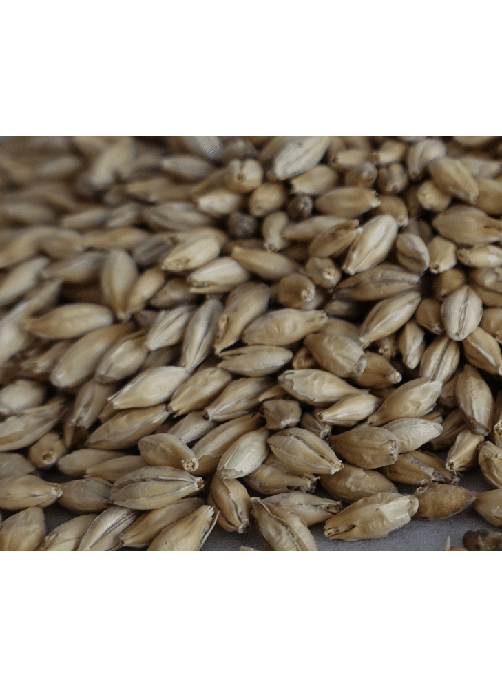 Malt Château Smoked (fumé) 25kg - Produits pour brasser de la bière ...