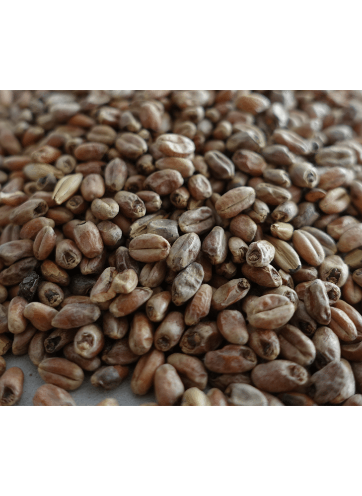 Malt Toasted Wheat 30EBC 25kg - Produits pour brasser de la bière - bms ...