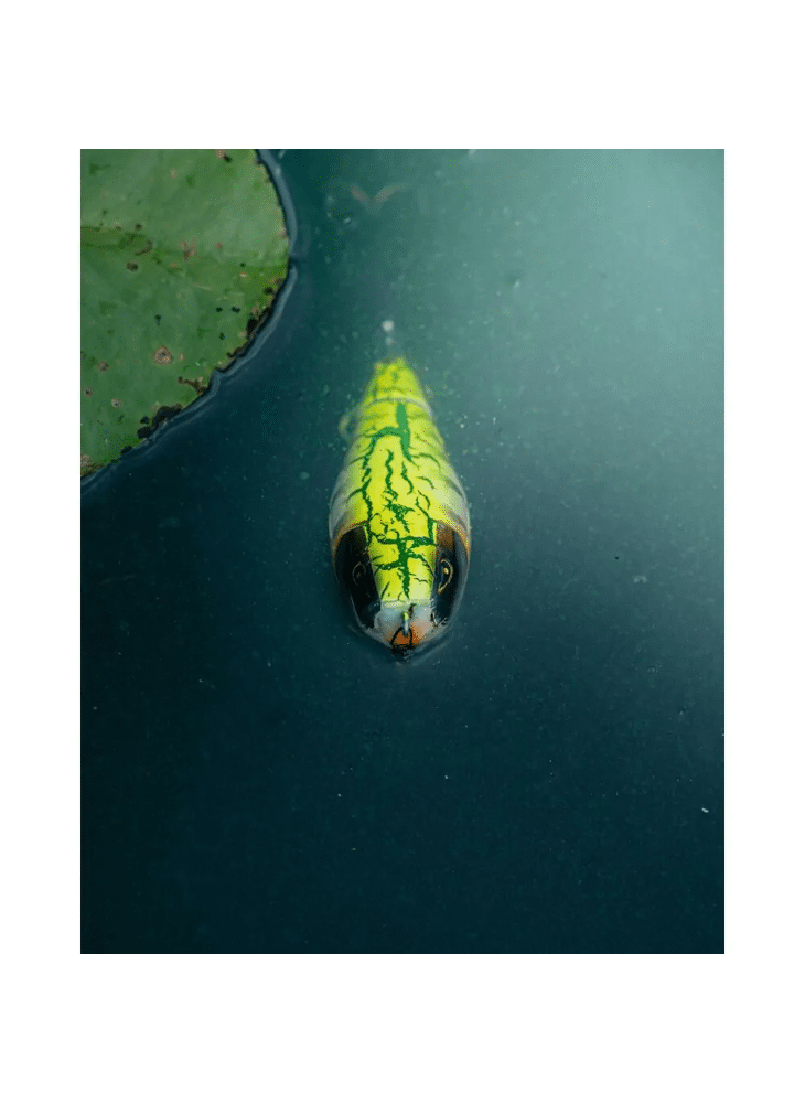 Rozemeijer Splash Bomb